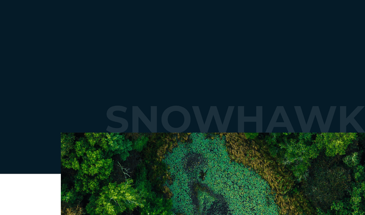 Home | Snowhawk