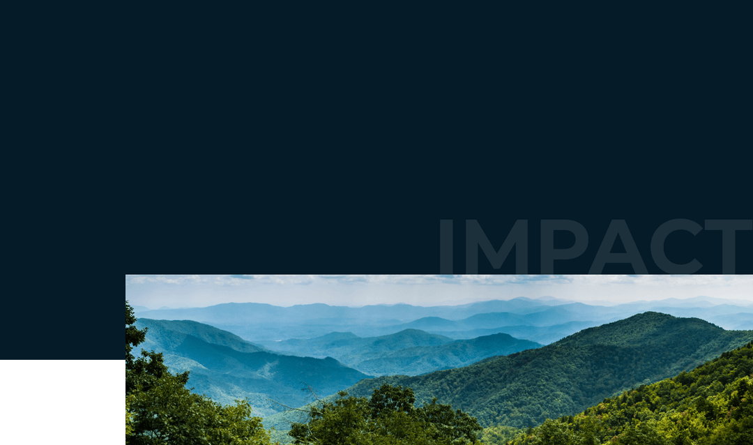 Impact | Snowhawk